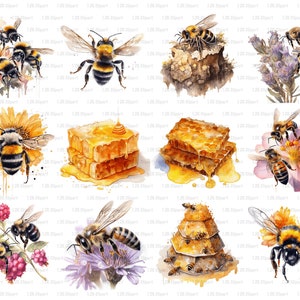 Watercolor Clipart Bumble Bee & Honey Bee Bundle Ultra-high Resolution ...