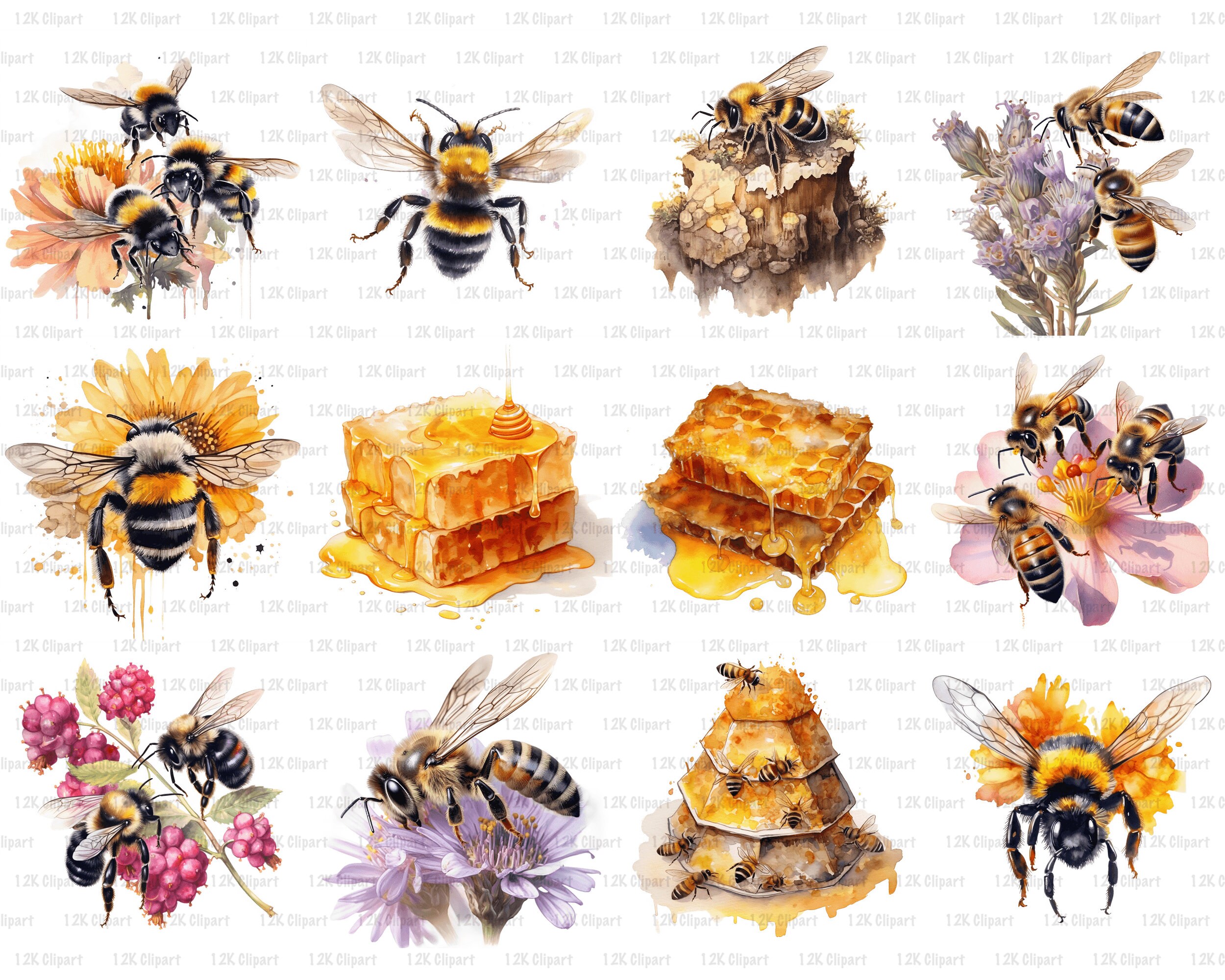 Watercolor Clipart Bumble Bee & Honey Bee Bundle Ultra-high Resolution ...