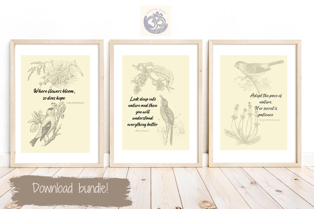 Affirmation Wall Art, Digital Download, Set of 3, Bird Drawings, Floral ...