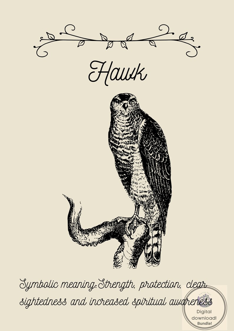 Hawk, Raven and Owl, Digital Download Wall Art, Symbolic Bird Meanings ...