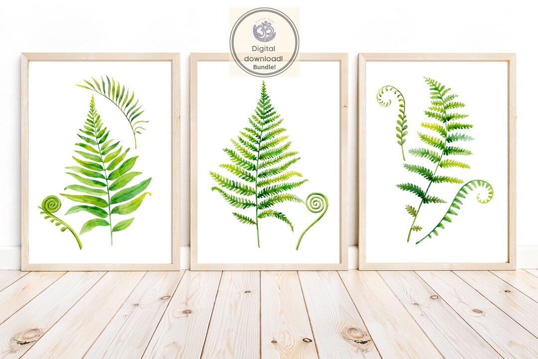 Fern Wall Art, Set of 3, Digital Download Prints, Botanical Room Decor ...