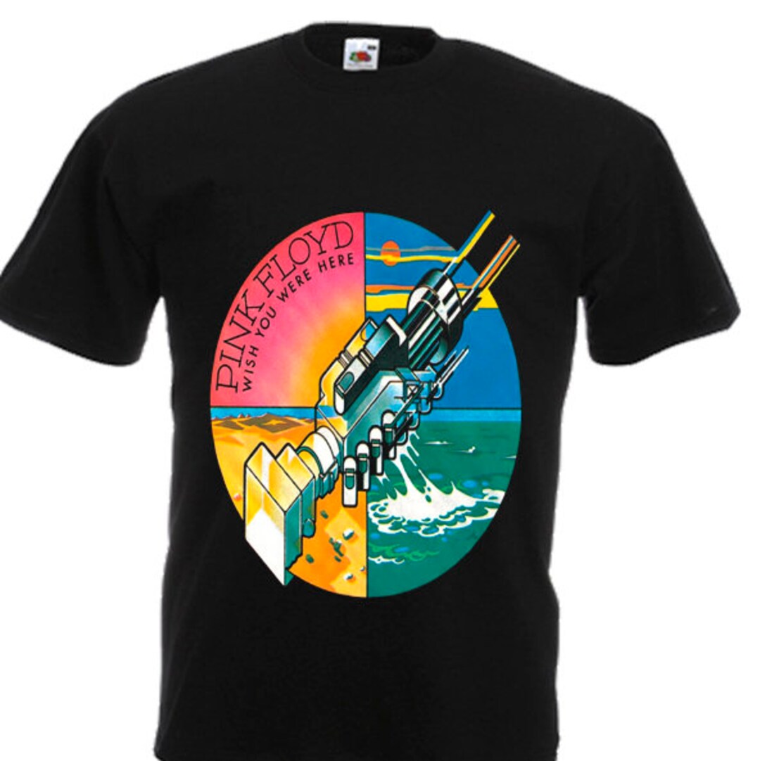 New Dtg / Dtf Printed T-shirt Pink Floyd Wish You Were - Etsy