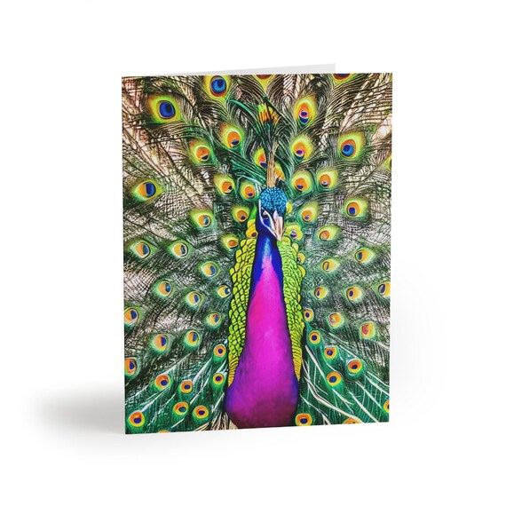 Peacock Greeting Cards Peacock Note Cards Peacock Notecards - Etsy