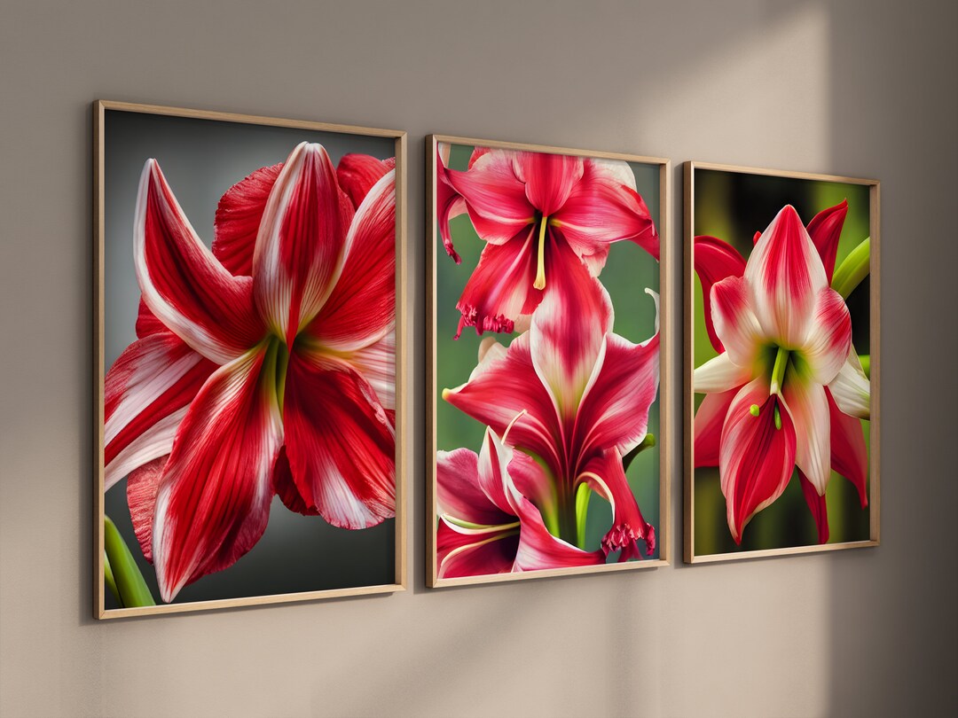 Printable Set of 3 Red Floral Wall Art Prints Amaryllis Photos Triptych ...