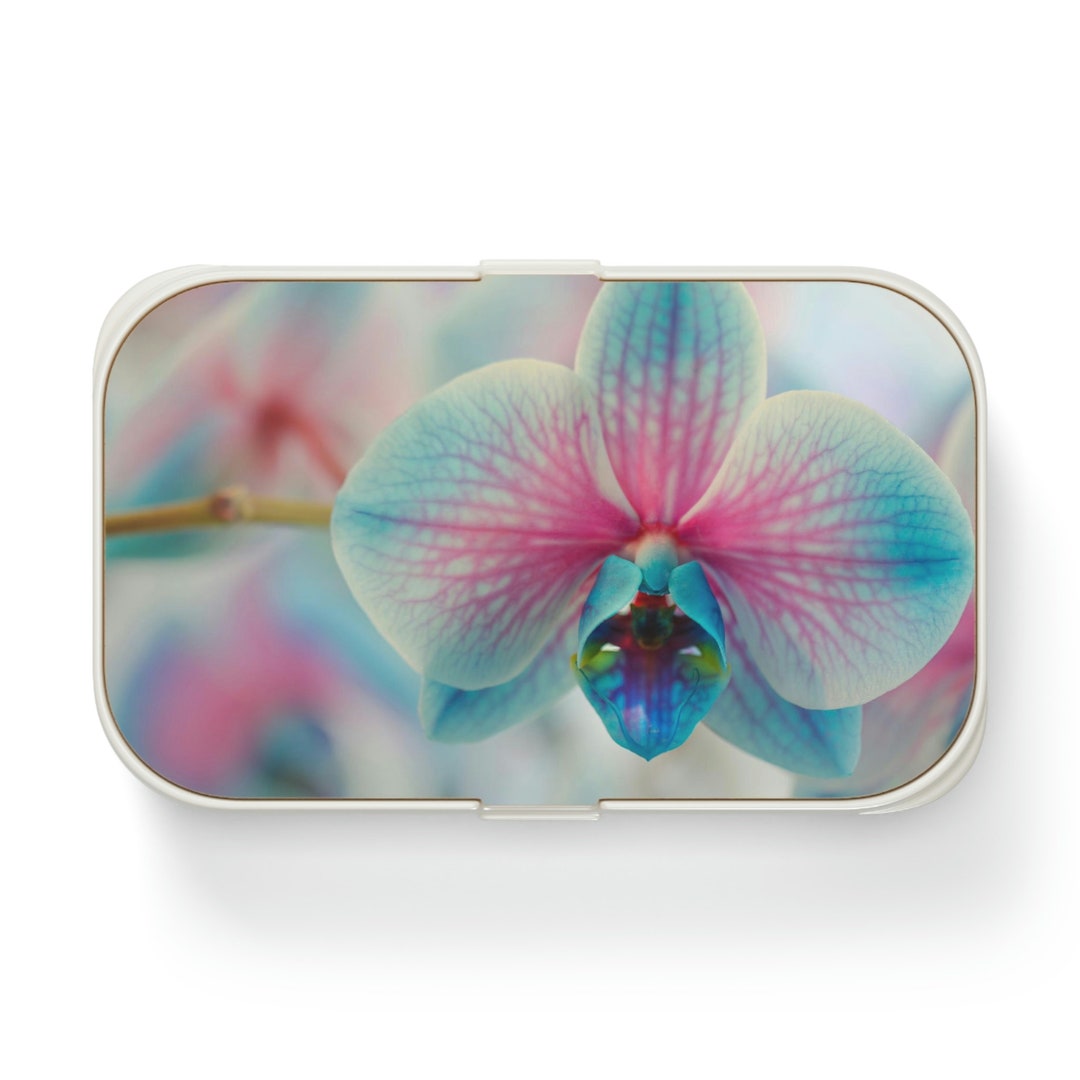 Orchid Bento Box, Orchid Lunch Box, Colorful Bento Box, Colorful Lunch ...