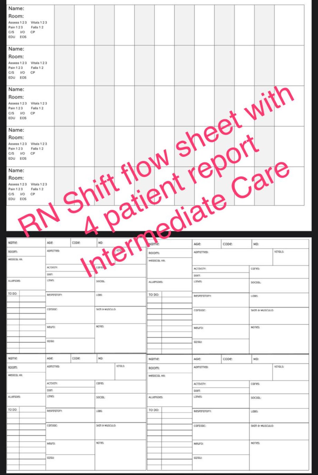 RN Shift Flowsheet With 4 Patient Intermediate Care - Etsy