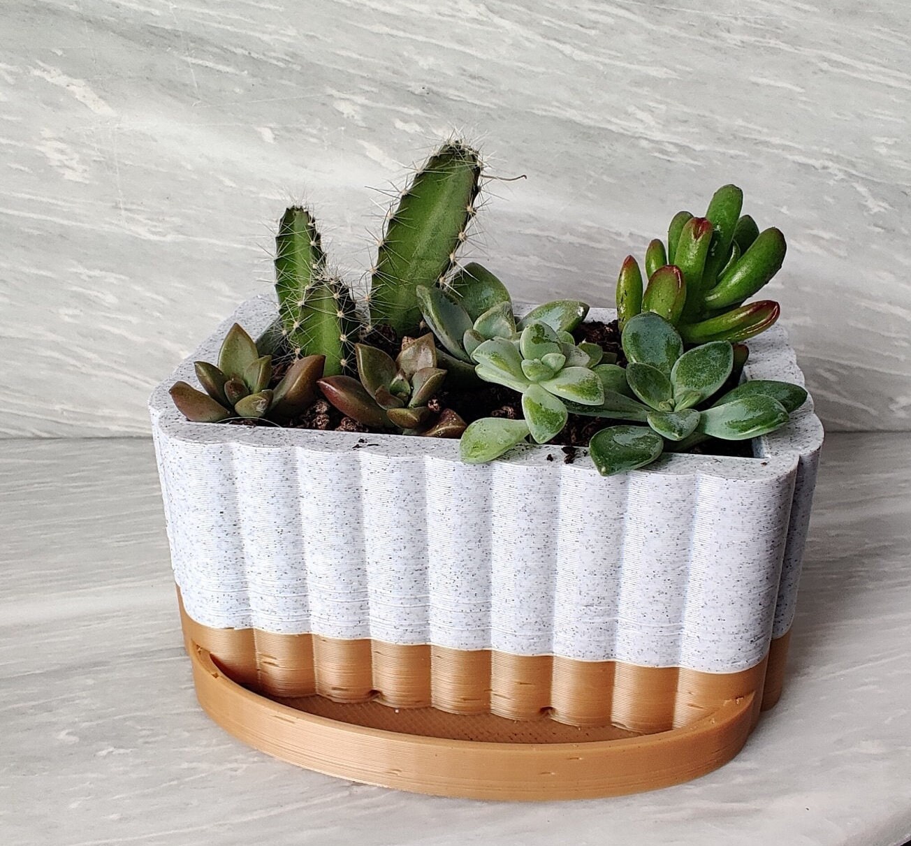 Pillar Window Pot | 3D Printed | Plant Pot | Planter - Etsy