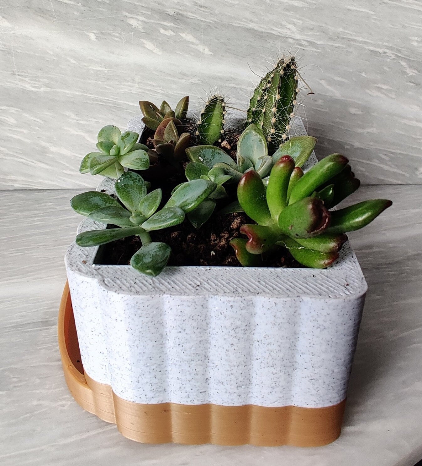 Pillar Window Pot | 3D Printed | Plant Pot | Planter - Etsy