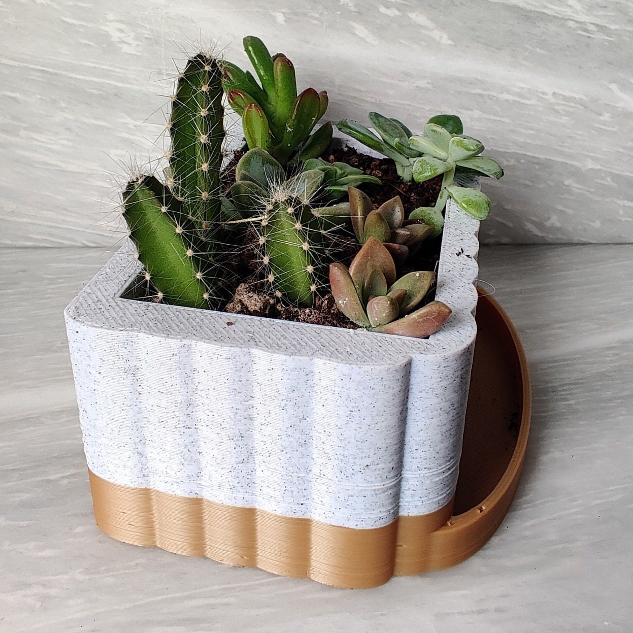 Pillar Window Pot | 3D Printed | Plant Pot | Planter - Etsy