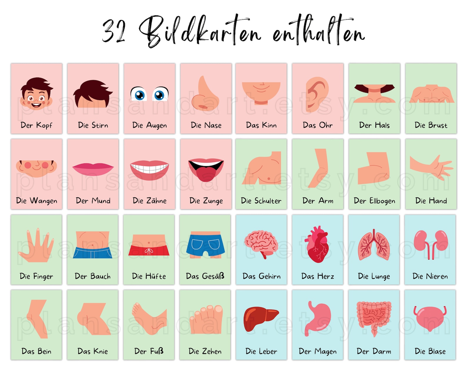32 Lernkarten Körper, Bildkarten Kinder zum Ausdrucken, Kindergarten, Grundschule, Körperteile ...