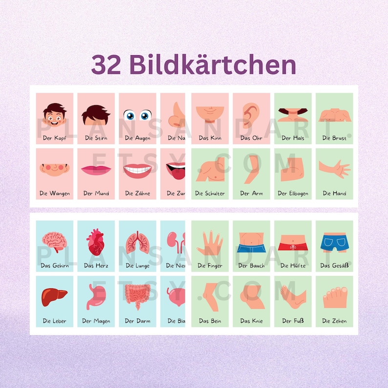 Bildkarten Korperteile Zum Ausdrucken