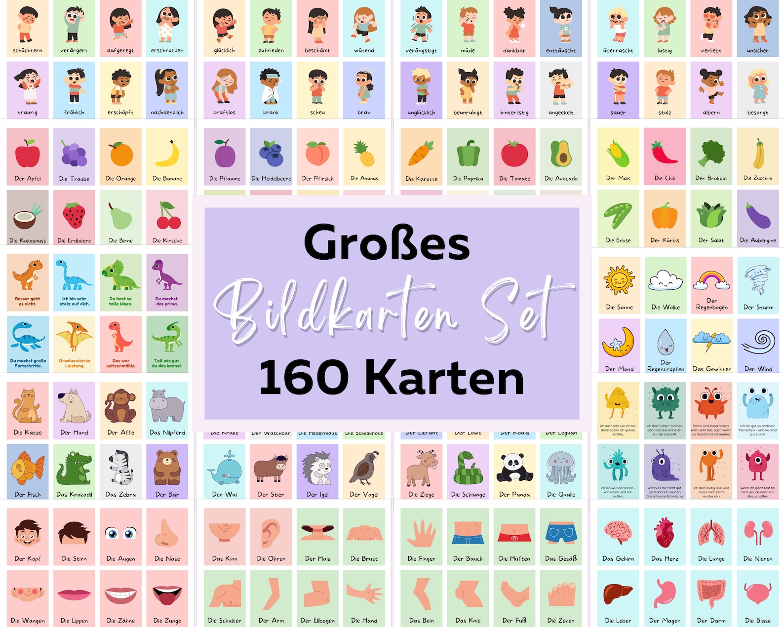160 Lernkarten für Kinder, Bildkarten Set, Gefühle, Emotionen, Tiere ...