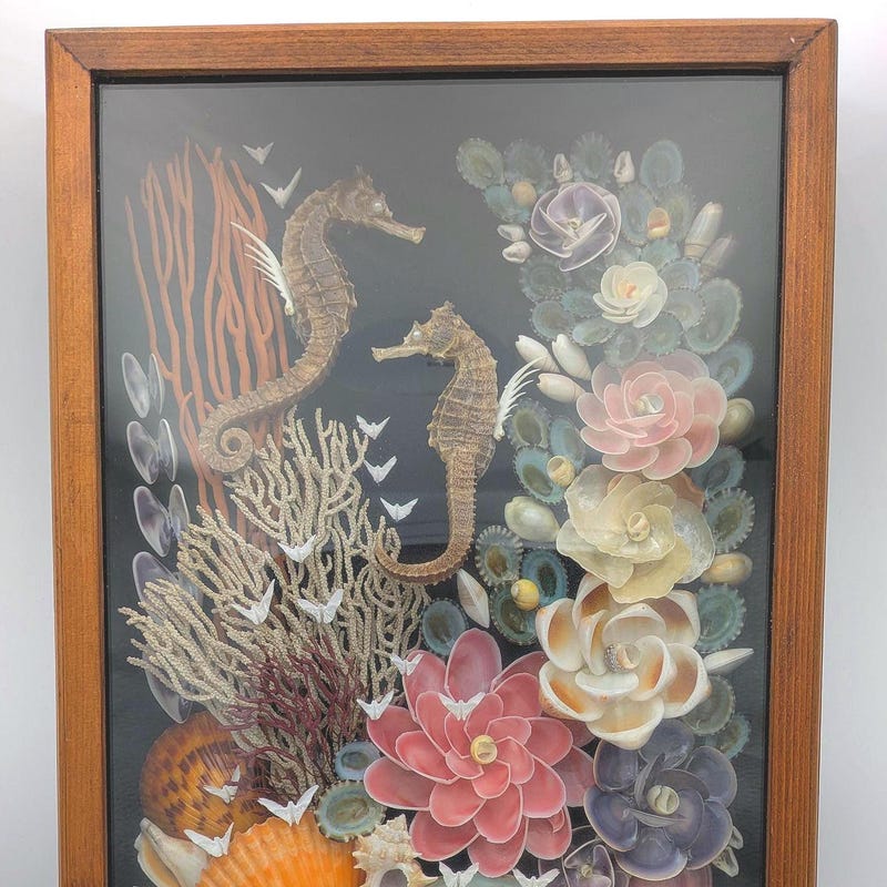 Shell Art Shadow Box - Etsy