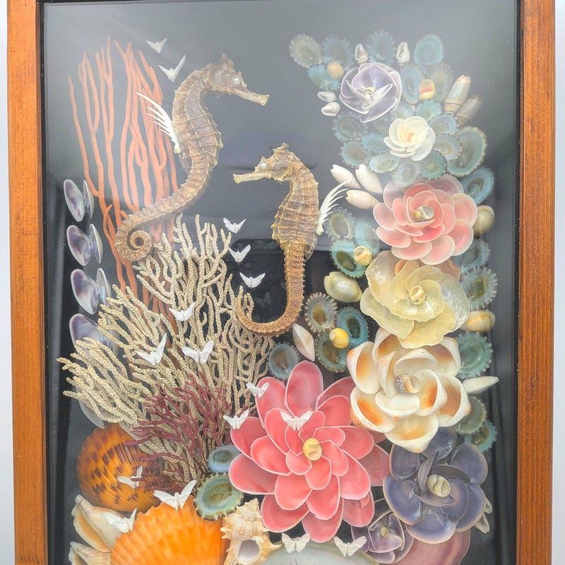 Shell Art Shadow Box - Etsy
