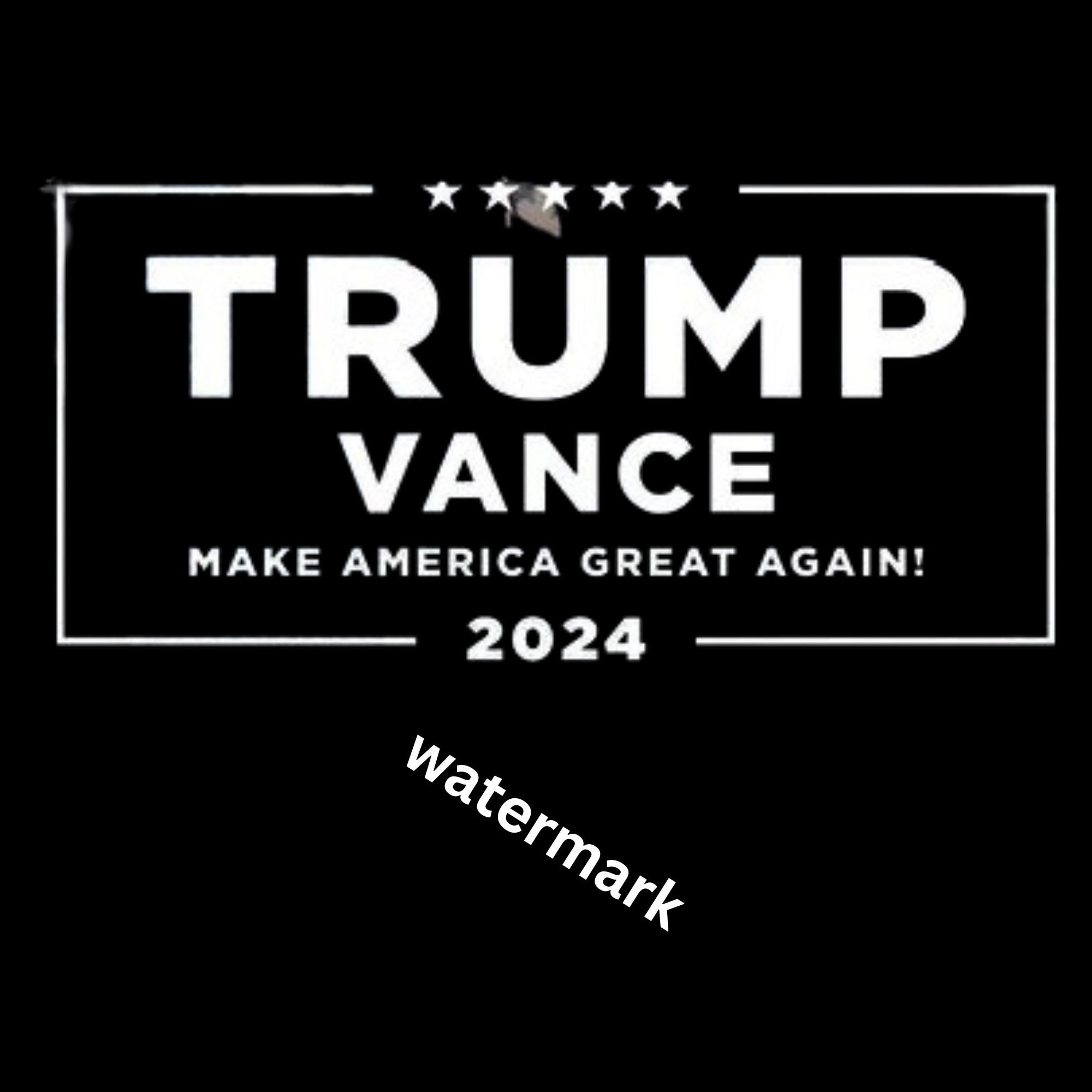 Trump Vance 2024 Png, Trump JD Vance Jpeg, Trump for President Pdf ...