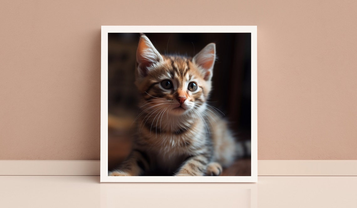 Beautiful Printable Kitten Poster / Downloadable Wall Art / Baby Cat ...