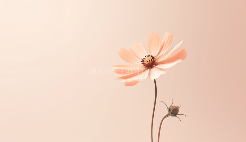 Set of 4 Floral Desktop Wallpaper / Abstract Minimalist Computer / PC ...