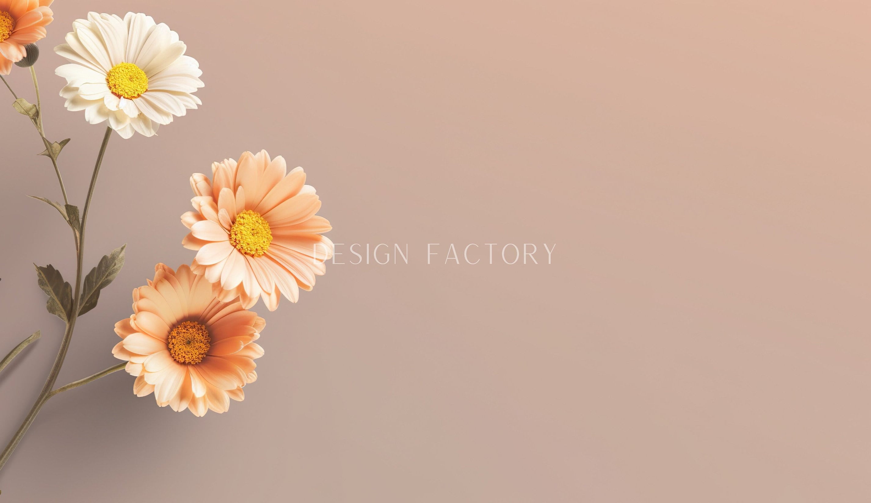 Set of 4 Floral Desktop Wallpaper / Abstract Minimalist Computer / PC ...