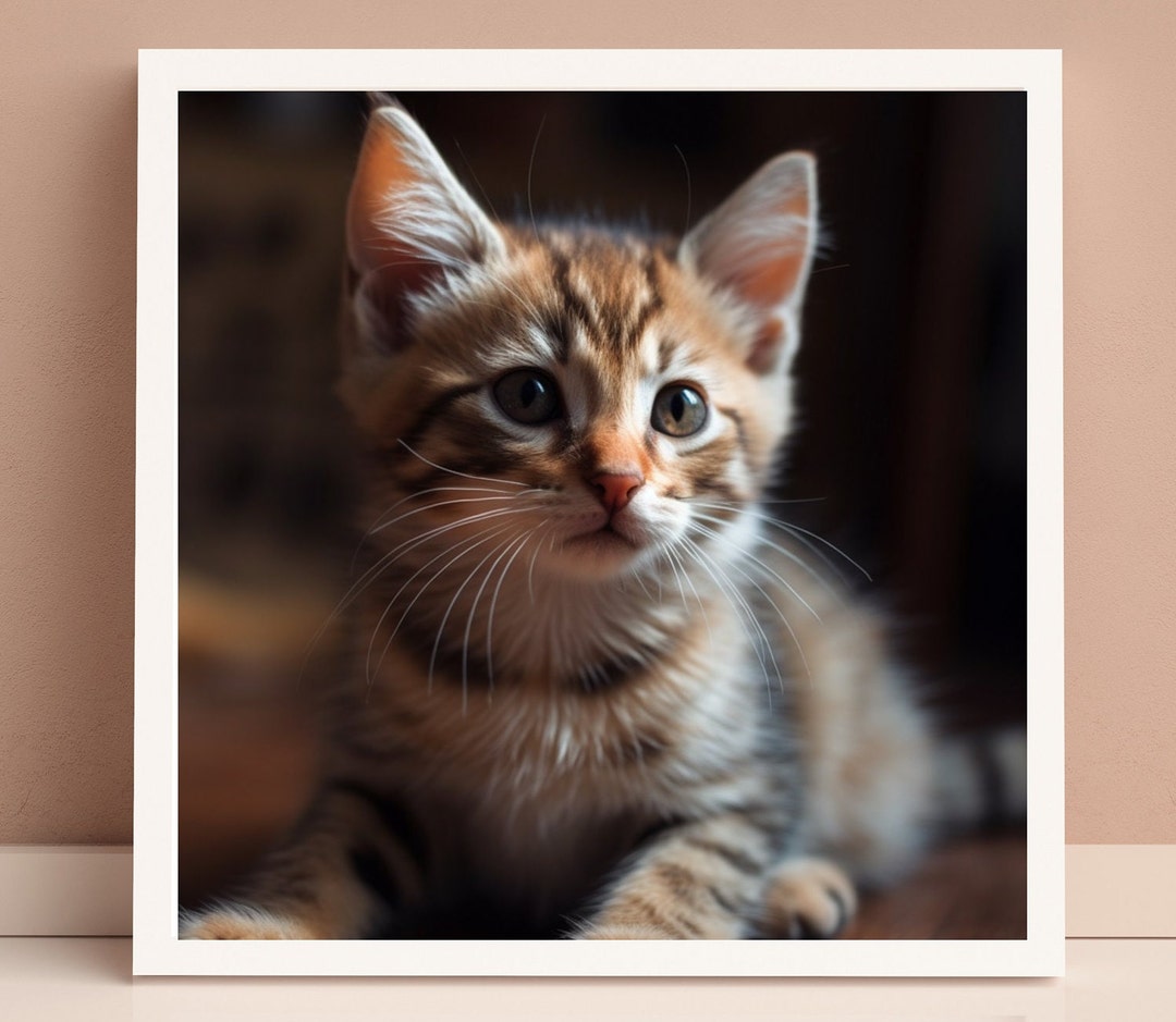 Beautiful Printable Kitten Poster / Downloadable Wall Art / Baby Cat ...