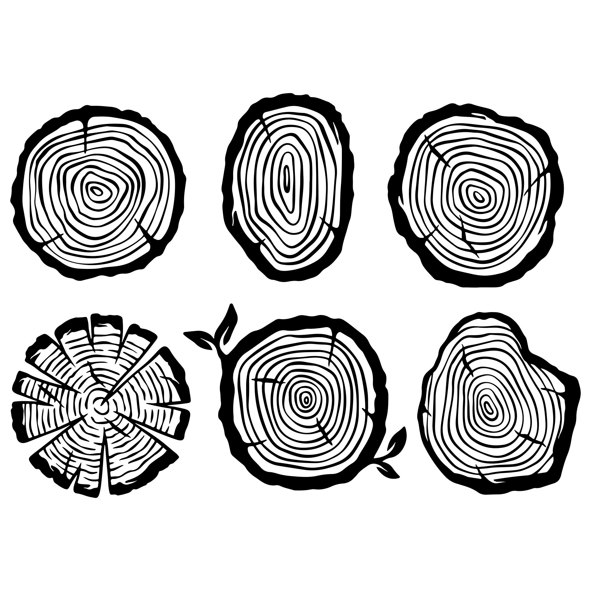 Tree Ring SVG - Etsy