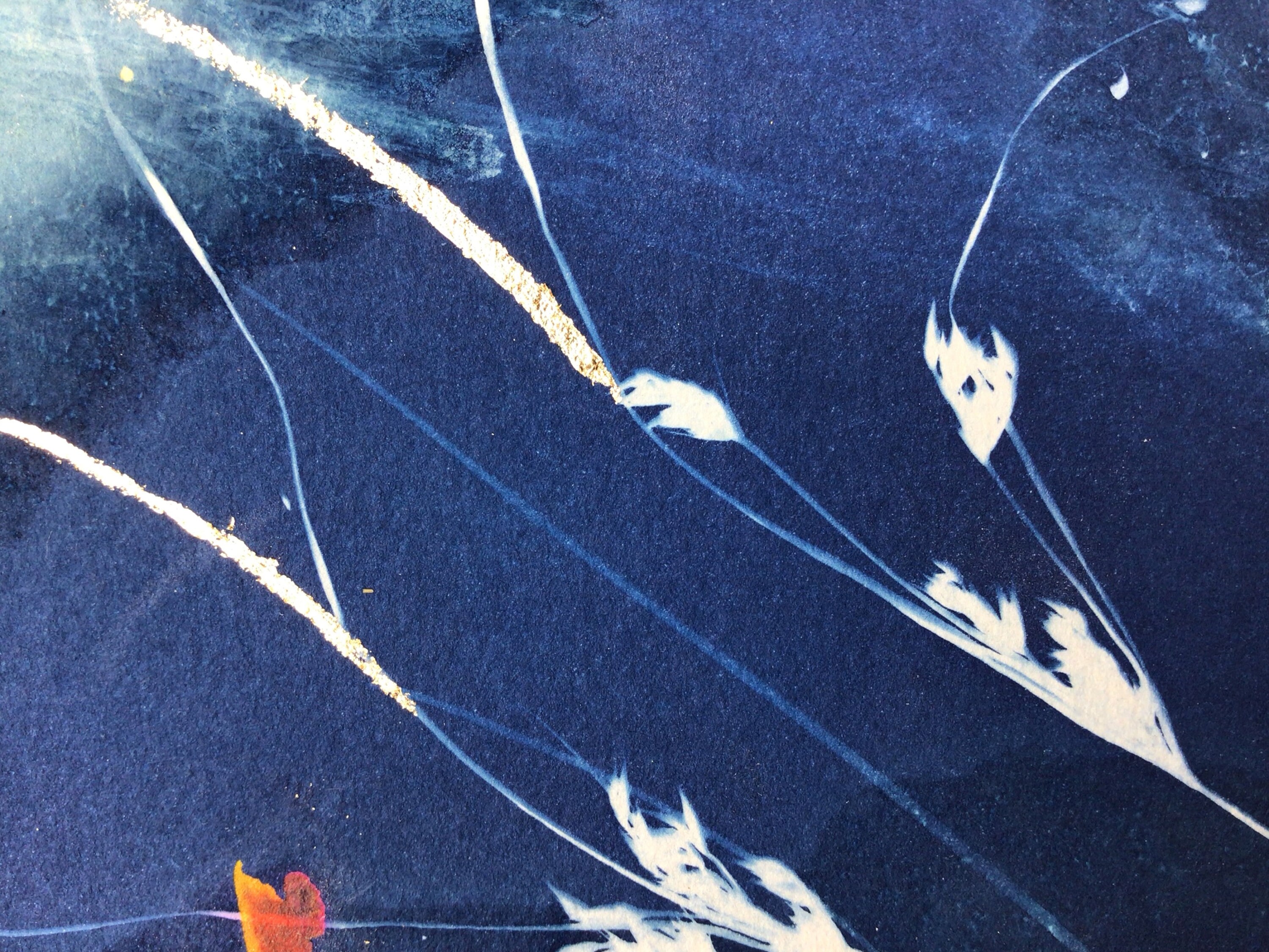 Mixed media cyanotype print - A5 — Pitch Black Paradise