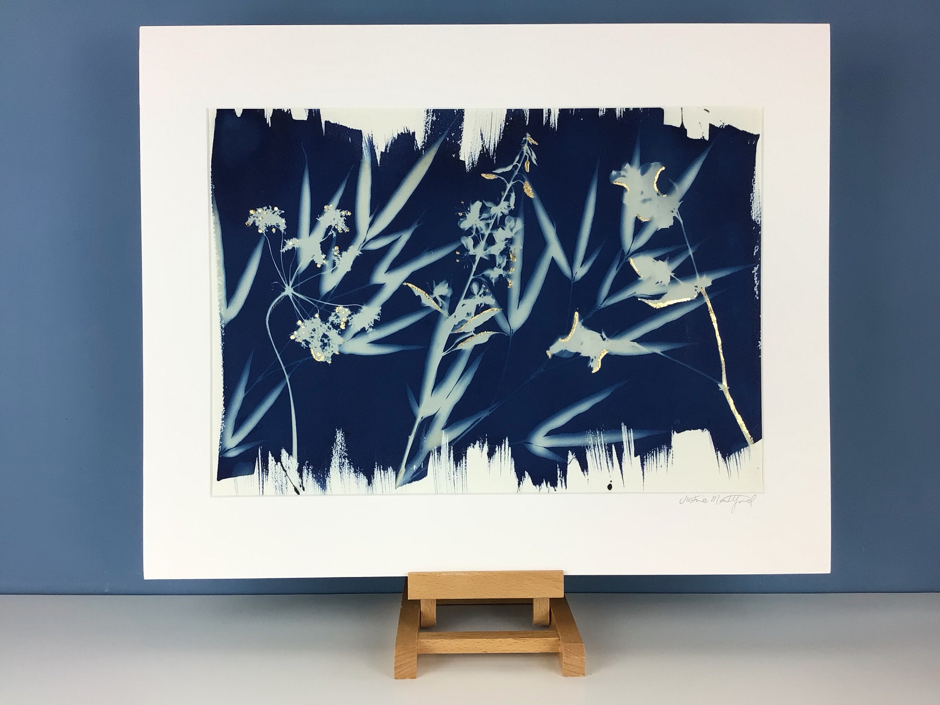 Mounted Original, Cyanotype Print, Botanical, Handmade - A3 — Pitch ...