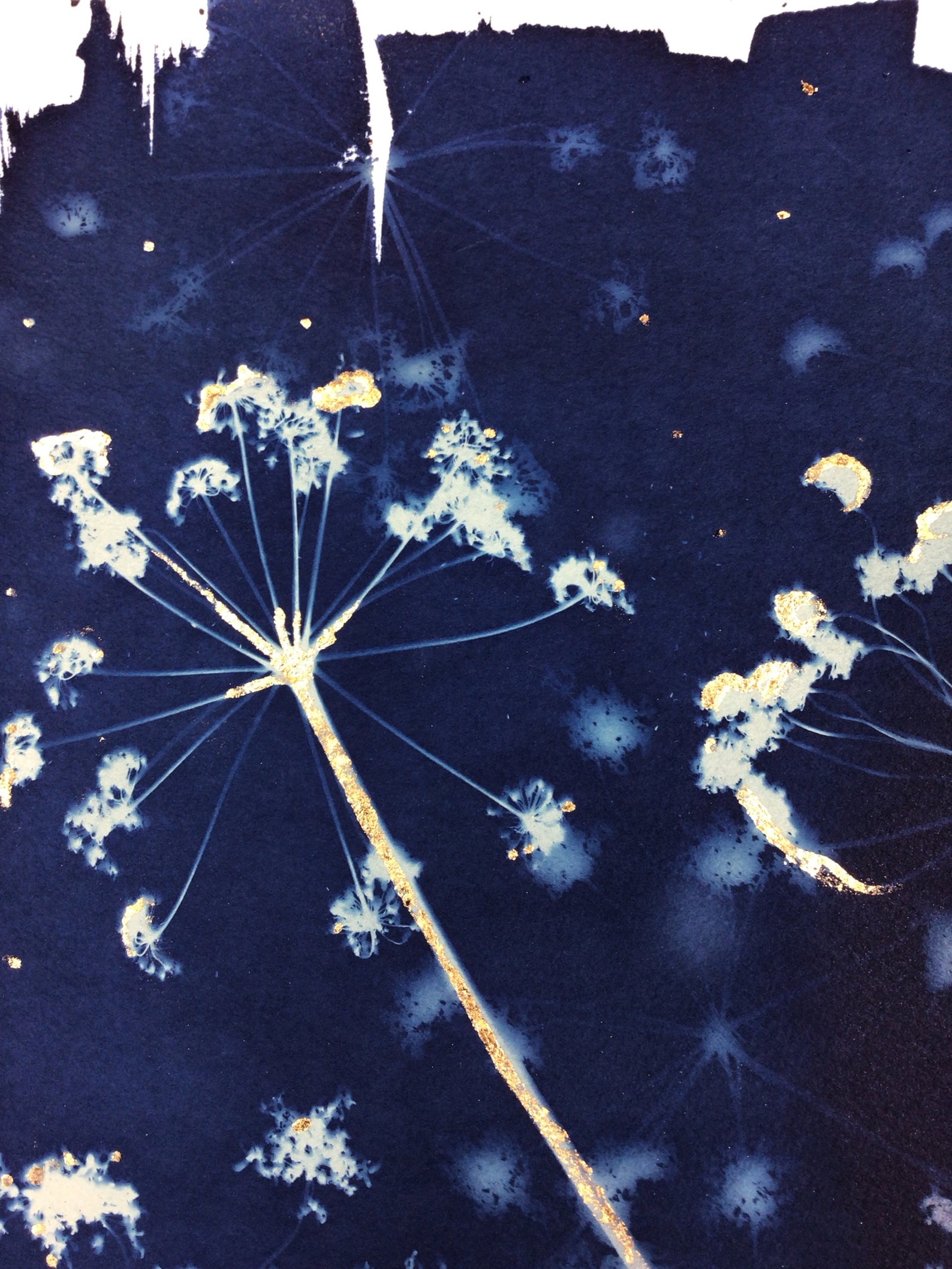 A3 Mounted Original Cyanotype Print Botanical Handmade - Etsy