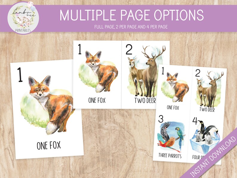 Numbers 1-20 Flashcards, Nature Number Flashcards, Number Cards ...