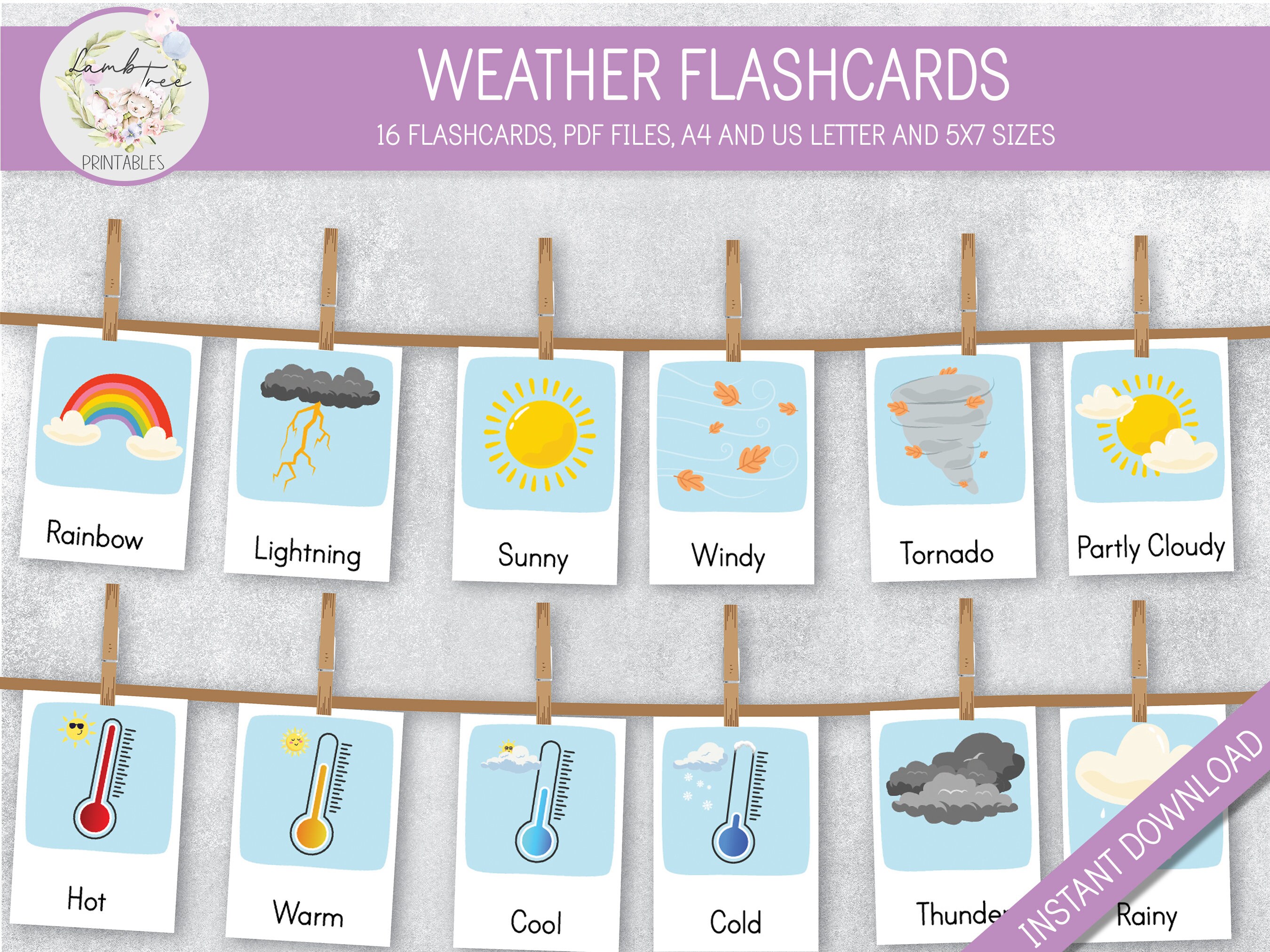 16 Weather Flashcards, Weather Cards, INSTANT DOWNLOAD, Toddler Weather ...
