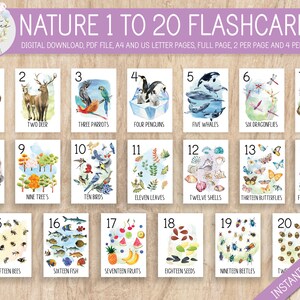 Numbers 1-20 Flashcards, Nature Number Flashcards, Number Cards ...