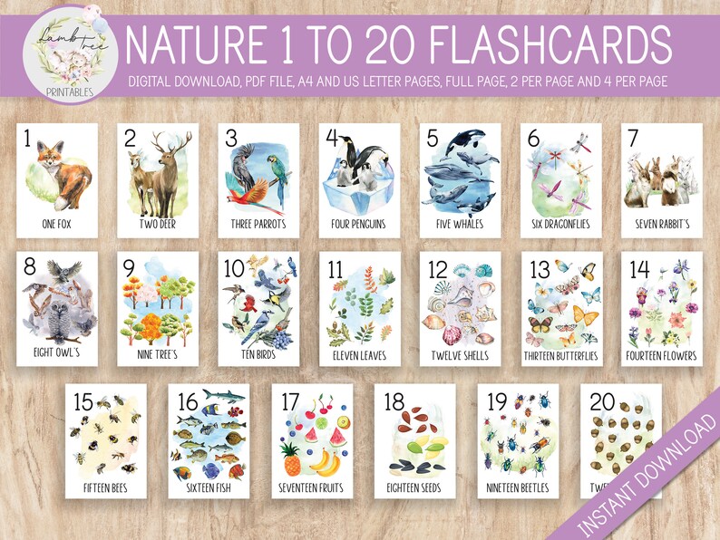 Numbers 1-20 Flashcards, Nature Number Flashcards, Number Cards ...