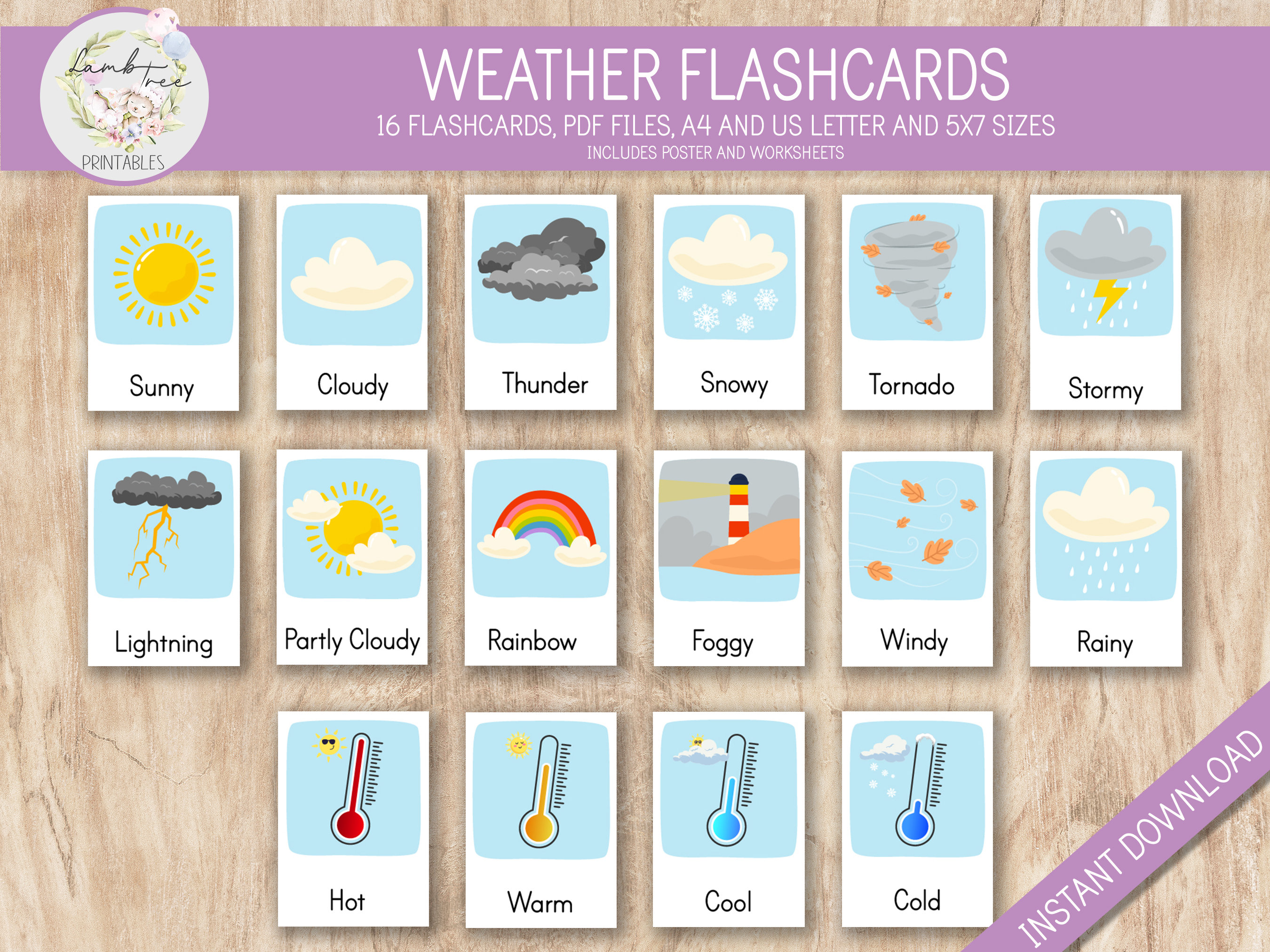 16 Weather Flashcards, Weather Cards, INSTANT DOWNLOAD, Toddler Weather ...