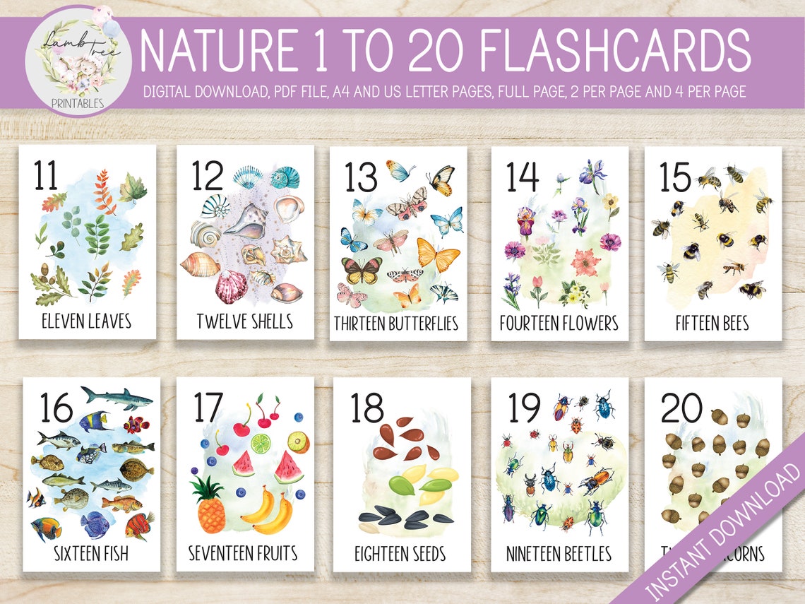 Numbers 1-20 Flashcards Nature Number Flashcards Number - Etsy