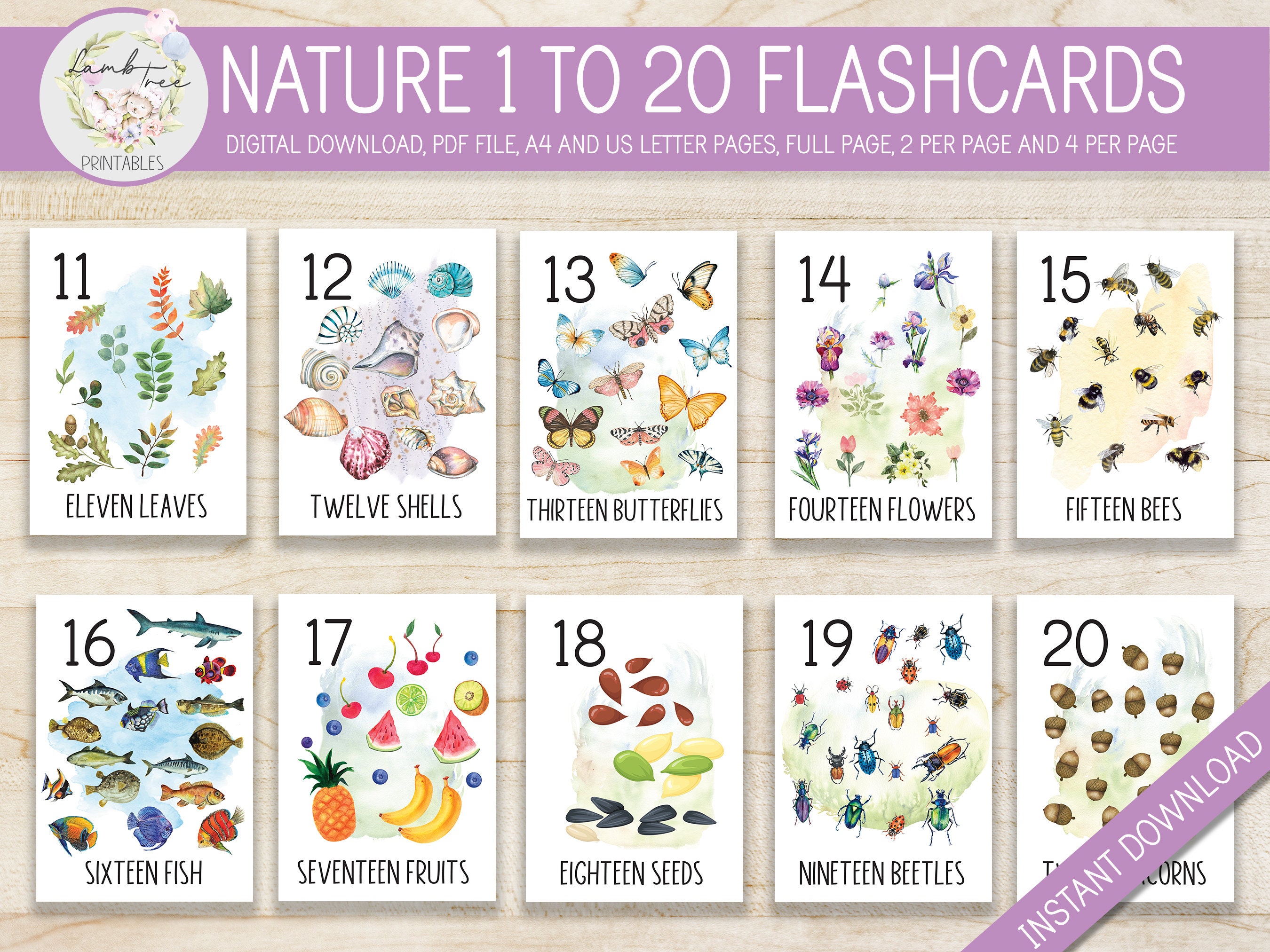 Numbers 1-20 Flashcards, Nature Number Flashcards, Number Cards ...