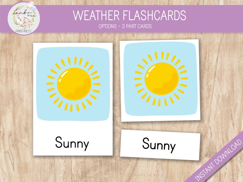 16 Weather Flashcards, Weather Cards, INSTANT DOWNLOAD, Toddler Weather Activity, Pre-k Activity ...