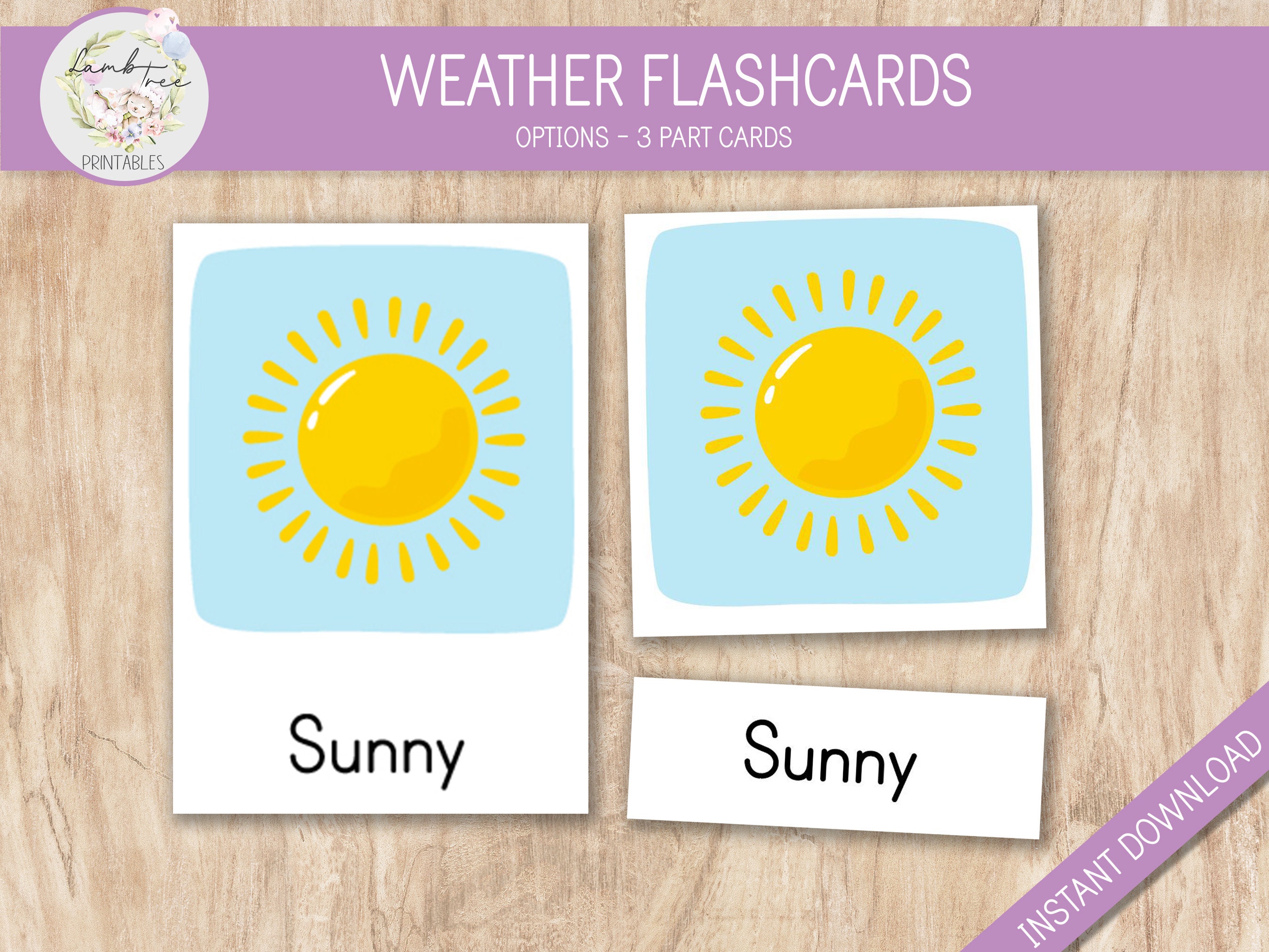 16 Weather Flashcards, Weather Cards, INSTANT DOWNLOAD, Toddler Weather ...