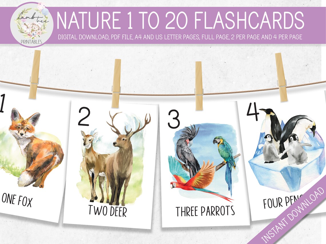 Numbers 1-20 Flashcards Nature Number Flashcards Number - Etsy