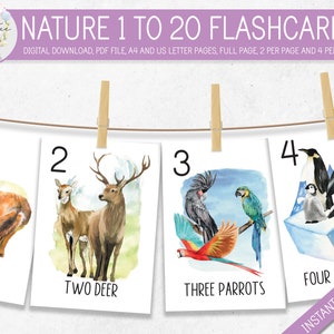Numbers 1-20 Flashcards, Nature Number Flashcards, Number Cards ...