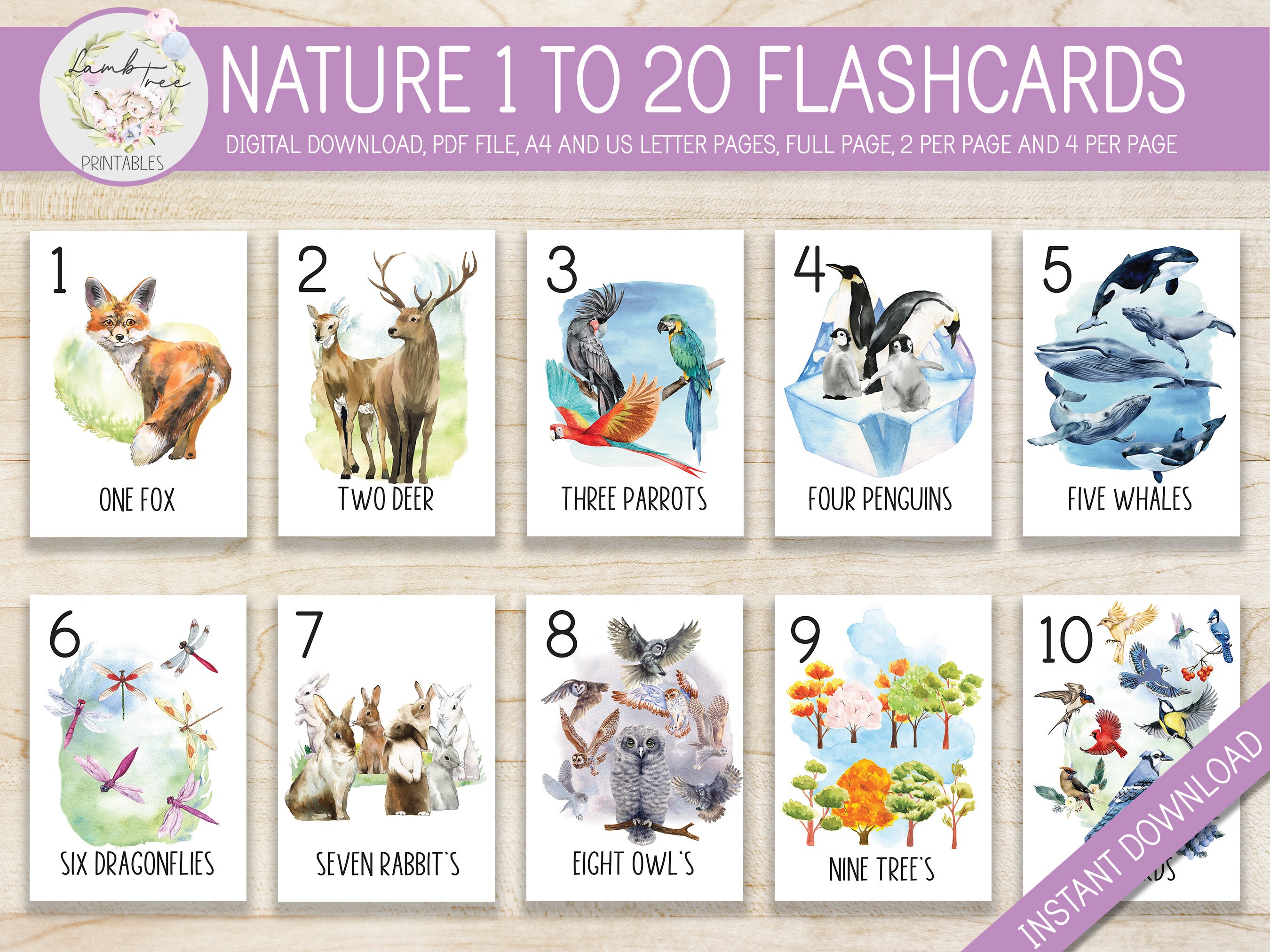 Numbers 1-20 Flashcards, Nature Number Flashcards, Number Cards ...