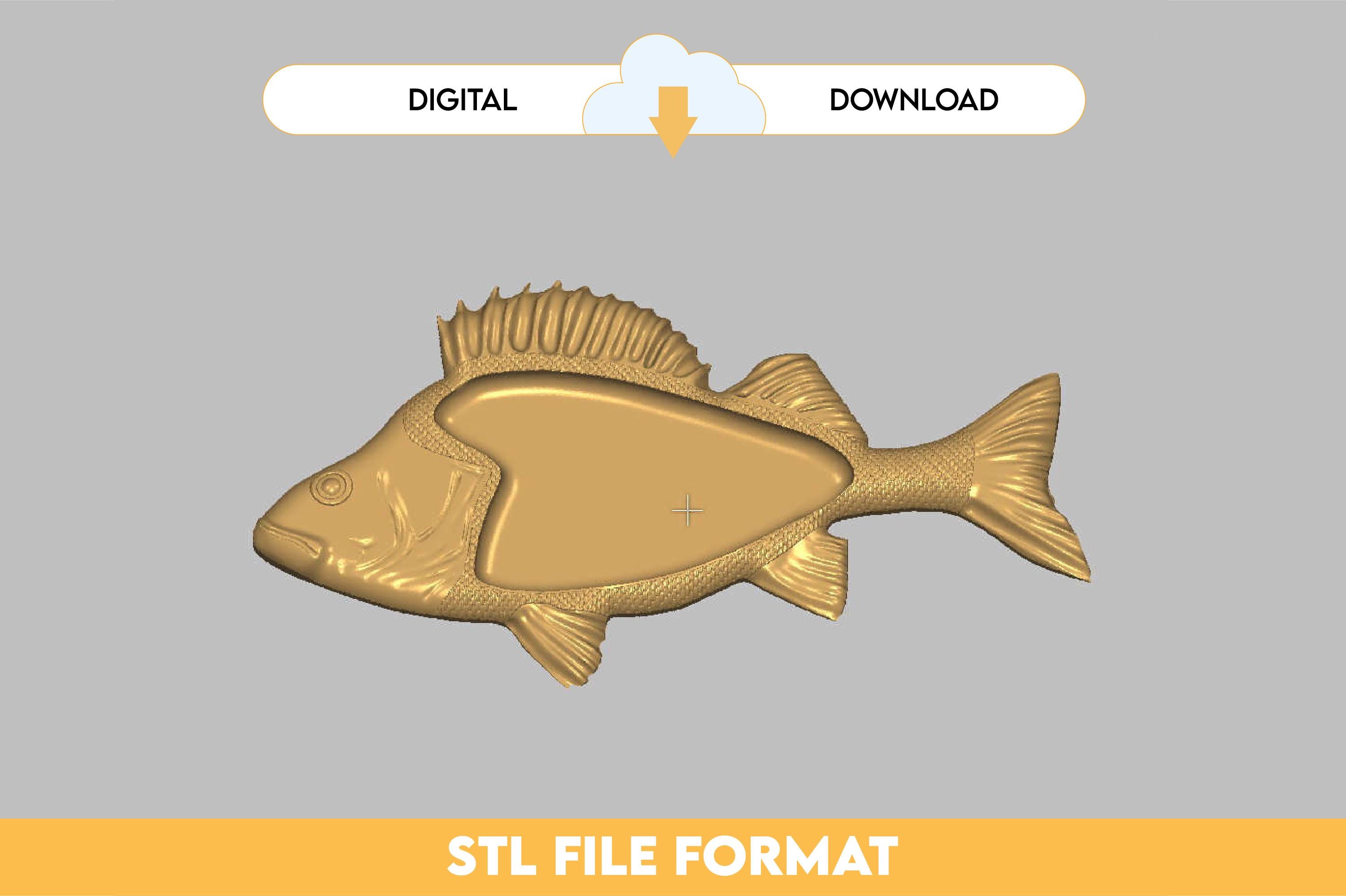 Bass Fish Shaped Kitchen Plate STL Digital File Format 3D Model CNC - Etsy