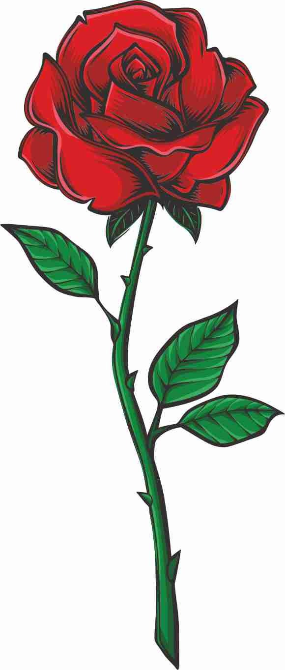 X8 Love Rose Vinyl Decal Stickers Valentines Decor Glass/wine Glass ...