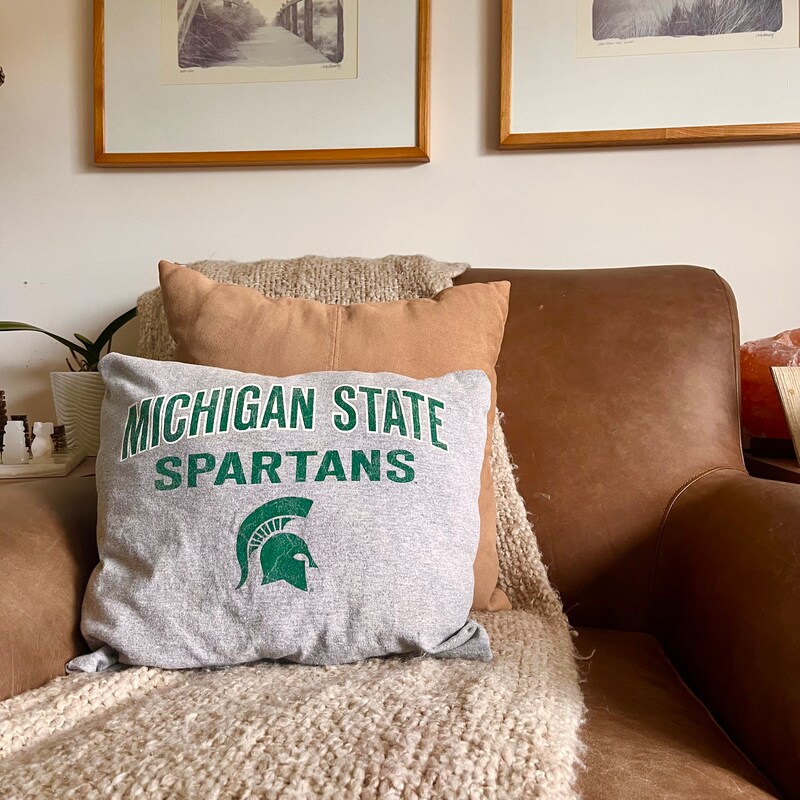 Michigan Pillow - Etsy