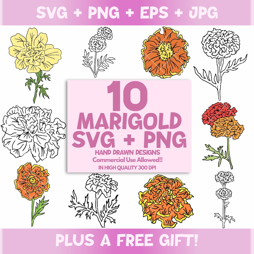 Marigold SVG, October Birth Month Flower Svg Png, Marigold Clipart Set ...