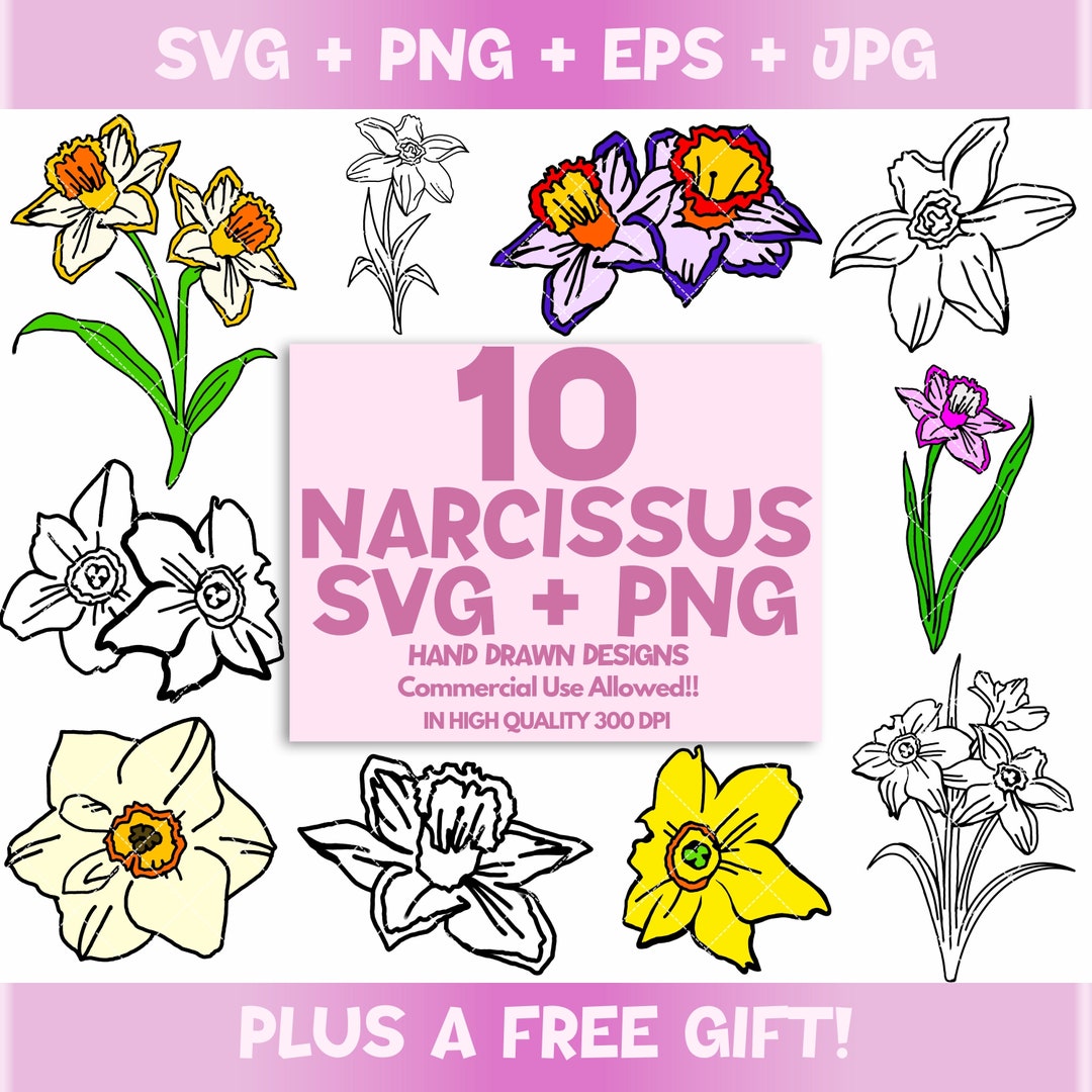 Narcissus SVG, December Birth Month Flower Svg Png, Narcissus Clipart ...