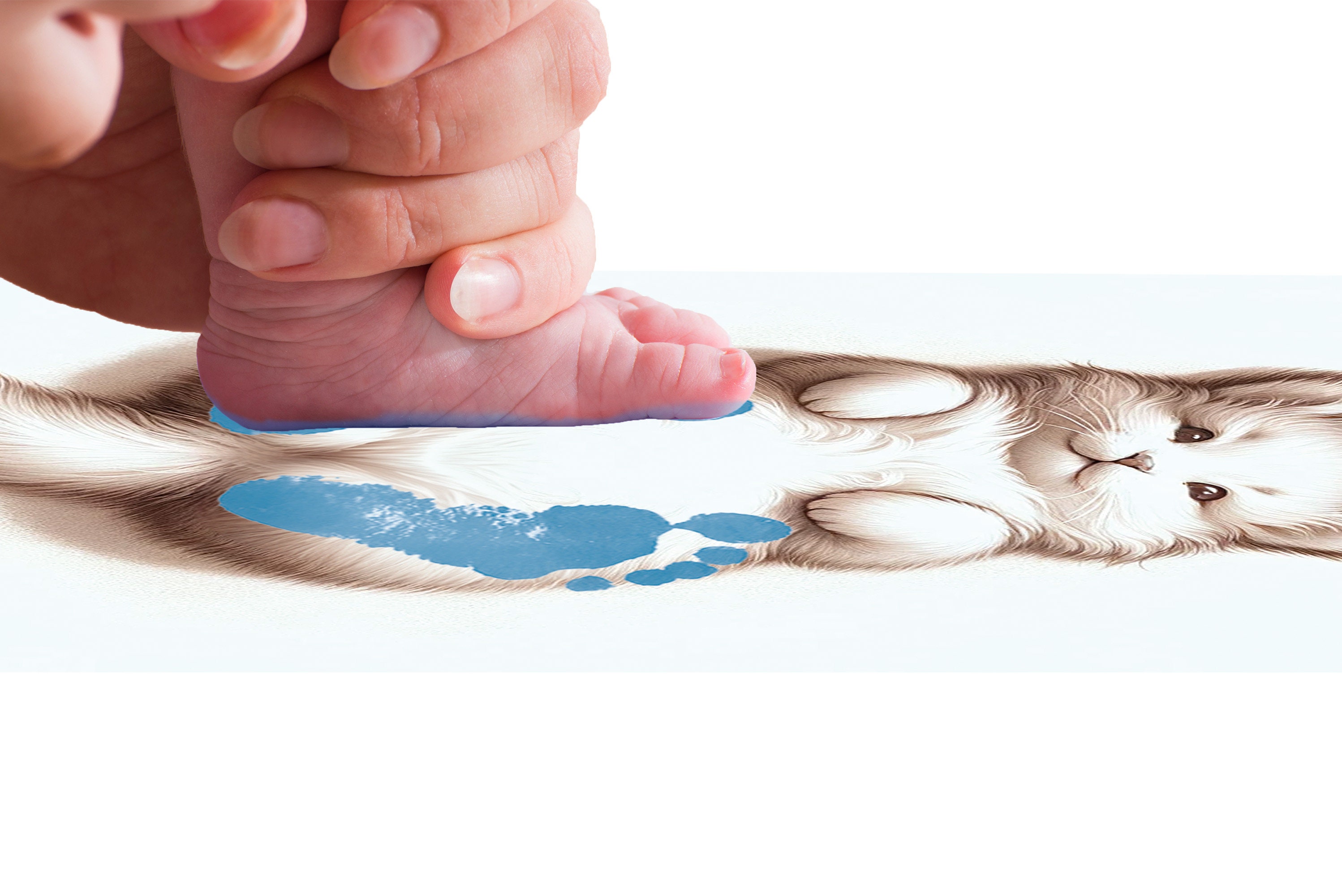 Baby Cat Footprint Artwork, Personalized Animal Motif for Children's ...