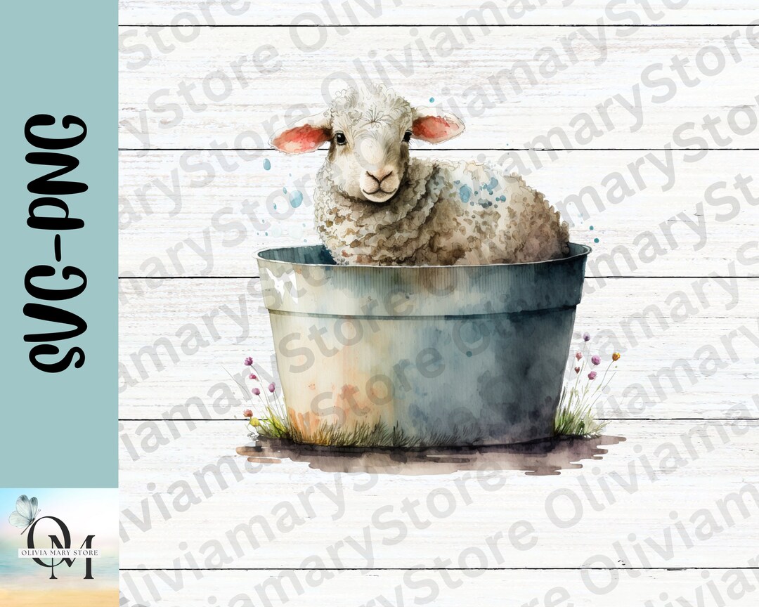 Ovejas Png, Ovejas de acuarela, SVG, Sublimación, Clipart de ovejas ...