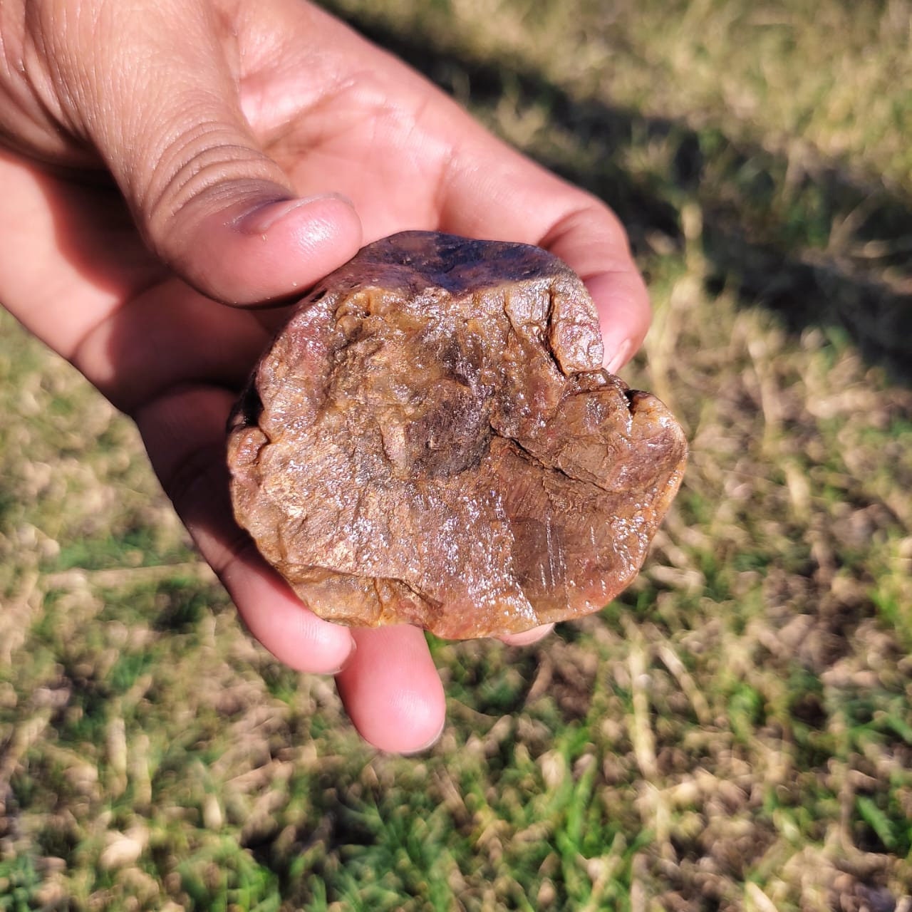 Star Sapphire Rough Stone, Natural Golden Shine,star Sapphire Rough ...