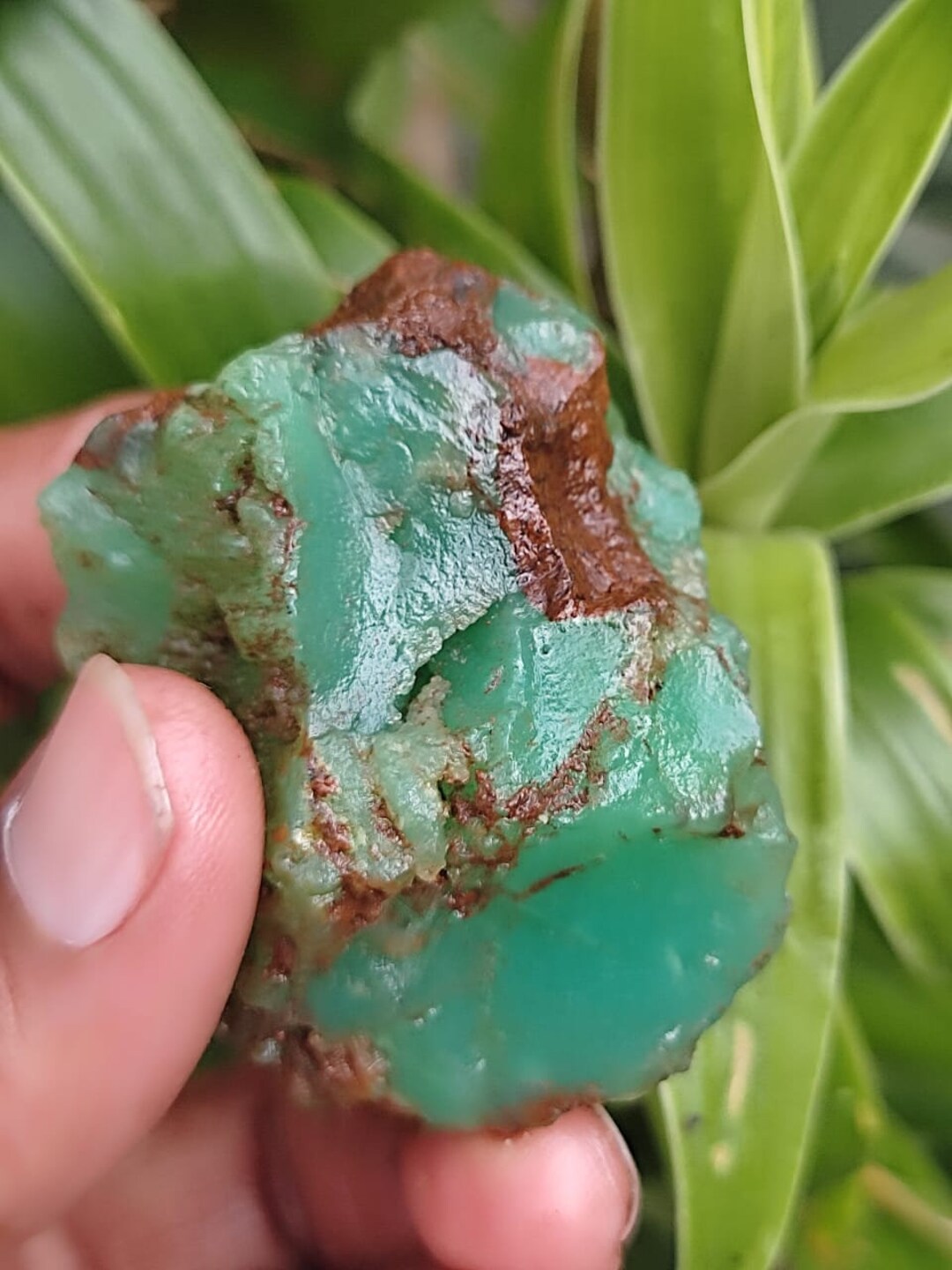 Raw Chrysoprase Stone From Zimbabwe, Green Chrysoprase Specimen ...