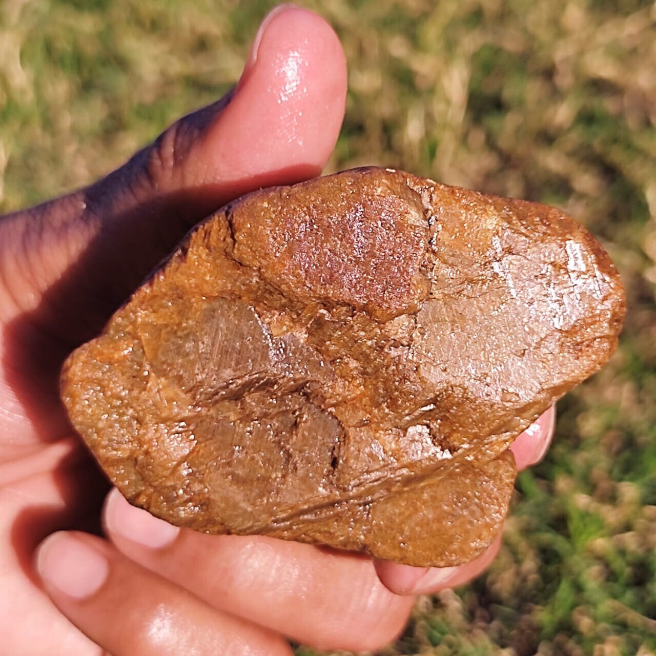Unique Natural Shine Star Sapphire Rough Stone Golden Star - Etsy