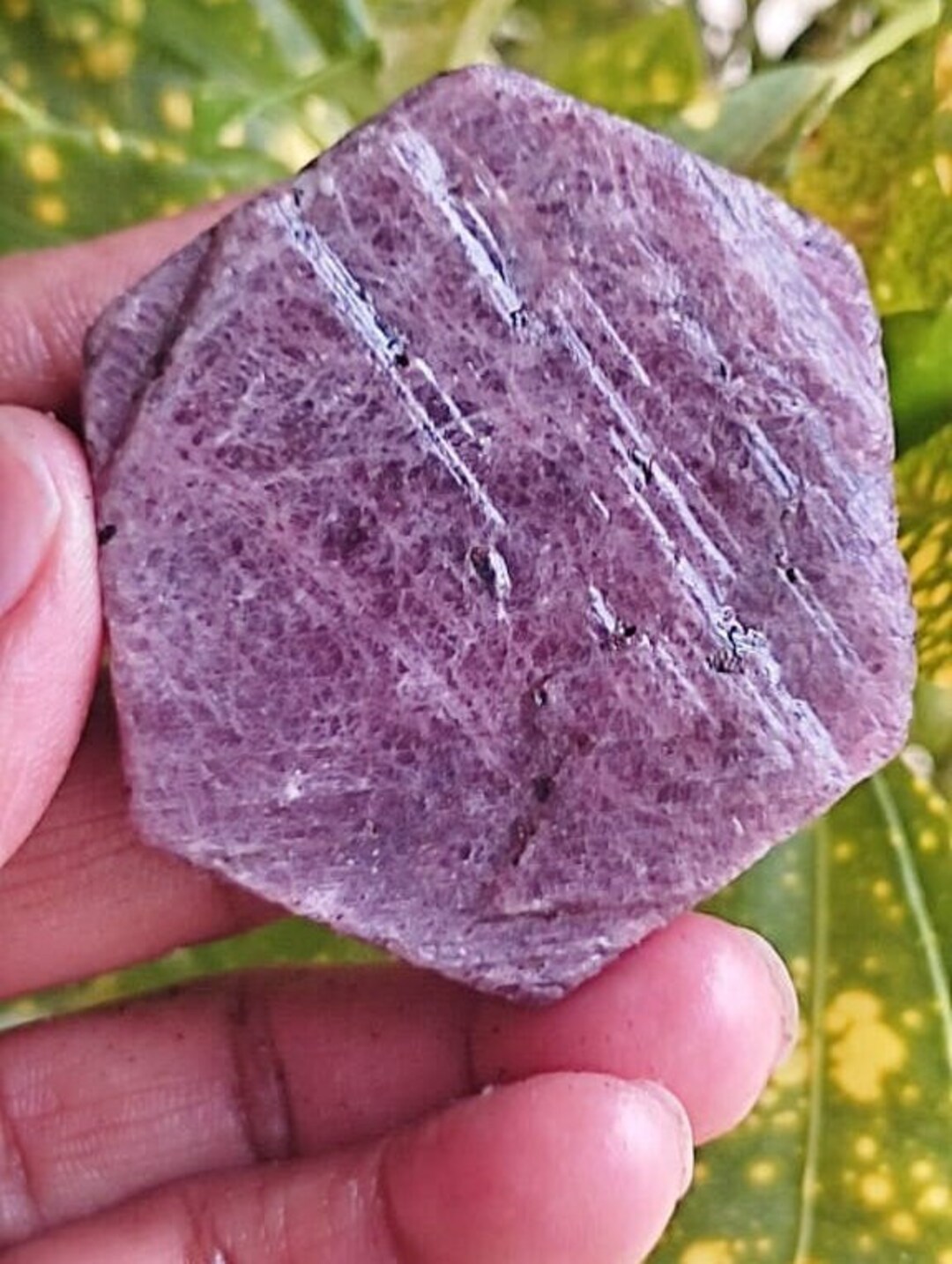 BIG SIZE A RUBY Raw Crystal Ruby Raw Use for Making Jewerly. Record ...